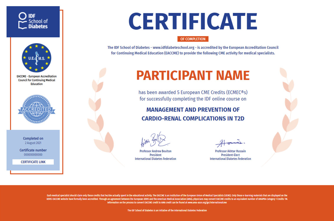 IDF School of Diabetes